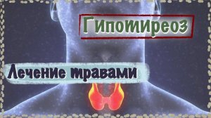 ГипоТиреоз, АИТ, тиреоидит Хошимото