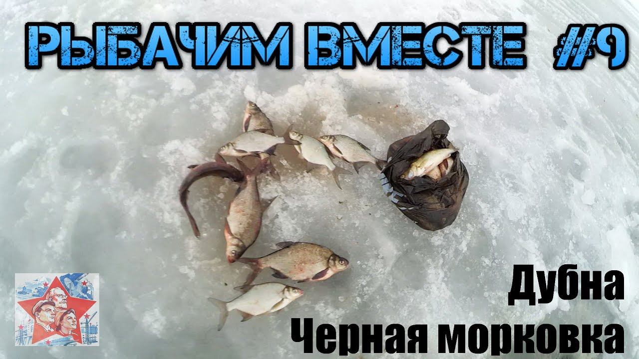 Глухозимье затянулось. Зимняя рыбалка. Дубна. Иваньковское водохранилище. Черная морковка. Шлагбаум.