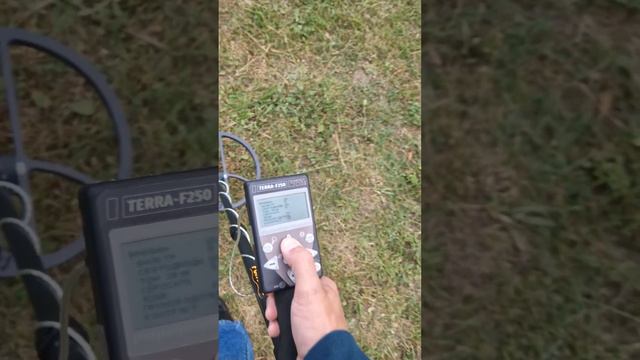 Краткий обзор Fomtect Terra-F250