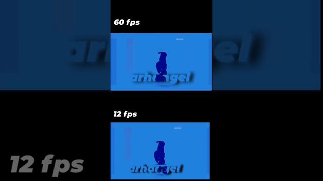 60 fps vs 12 fps