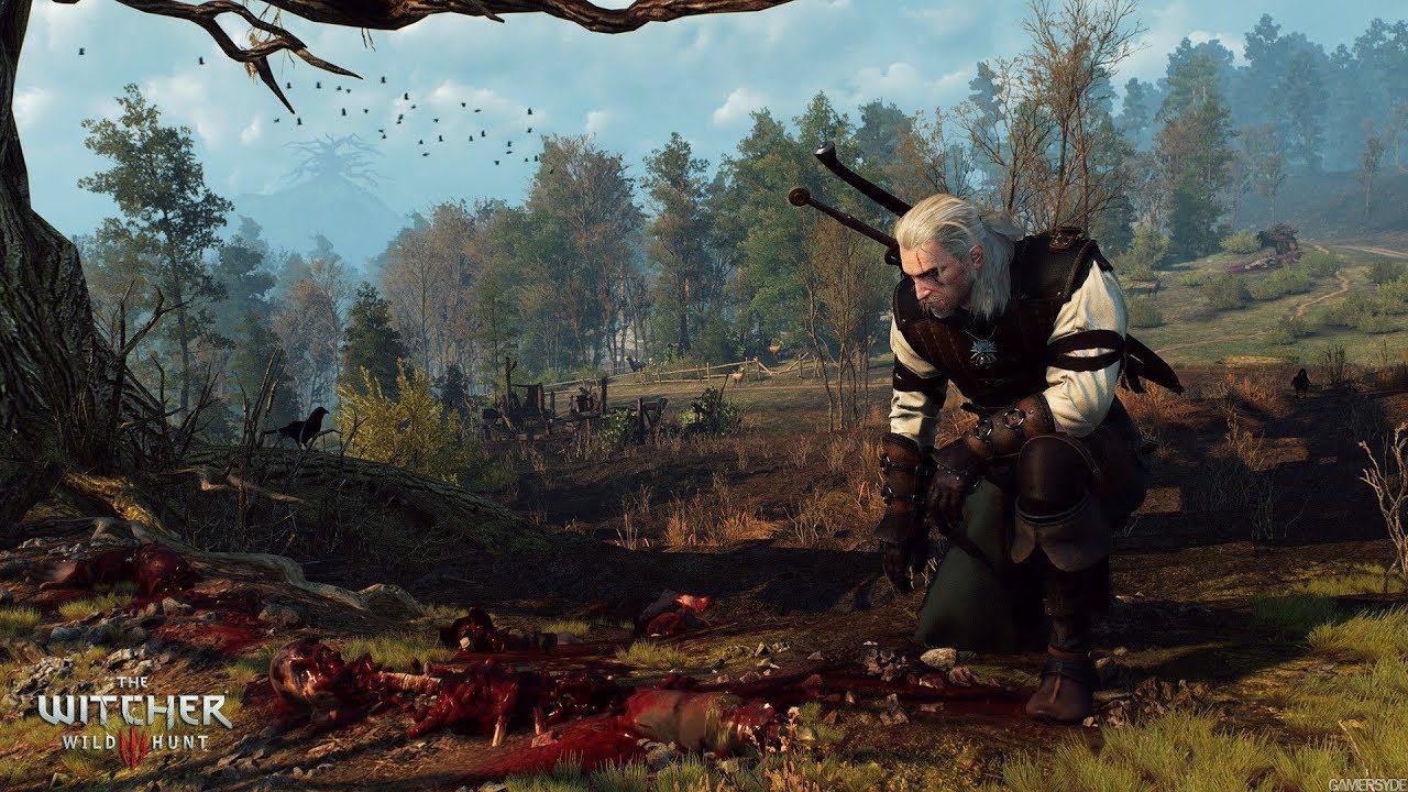 The Witcher 3 Wild Hunt - Охота на ведьму #12  4K Ultra+Mod
