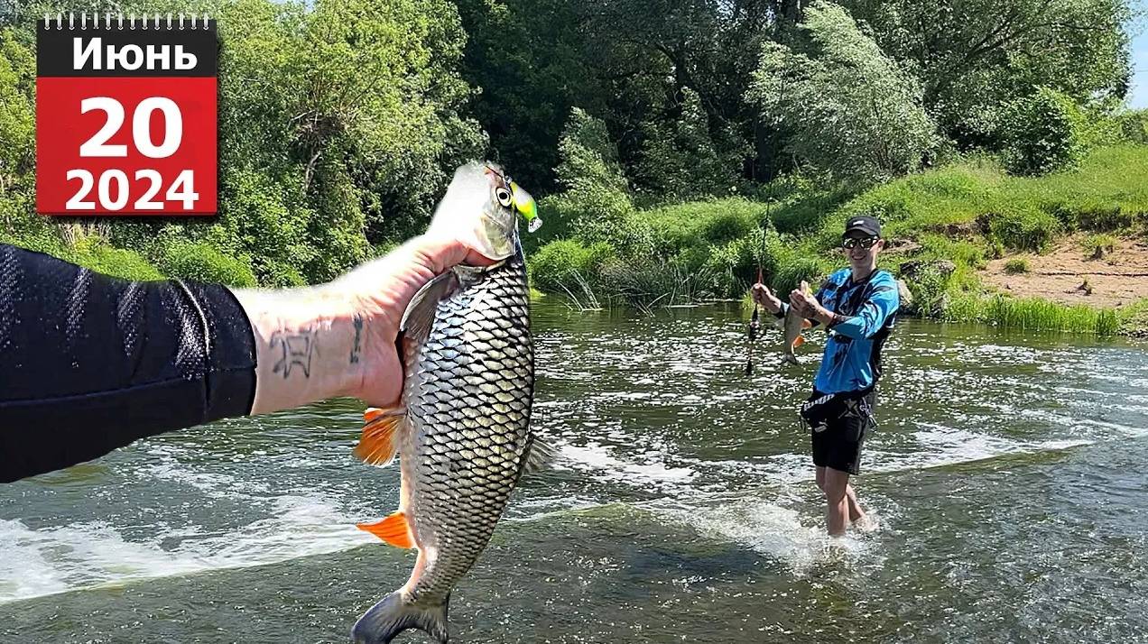 Голавль на сильном течение , ловлю на китайские кренки