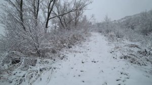 Зимний сад, на пятом канале.