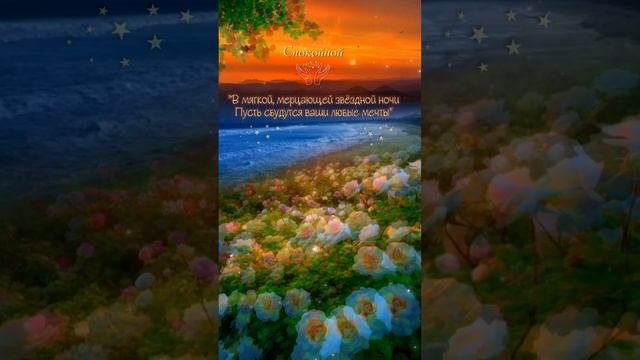 В мягкой мерцающей звёздной ночи