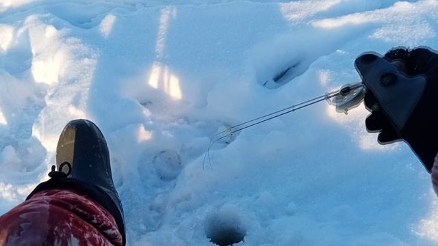 Рыбалка зимой на безмотылку