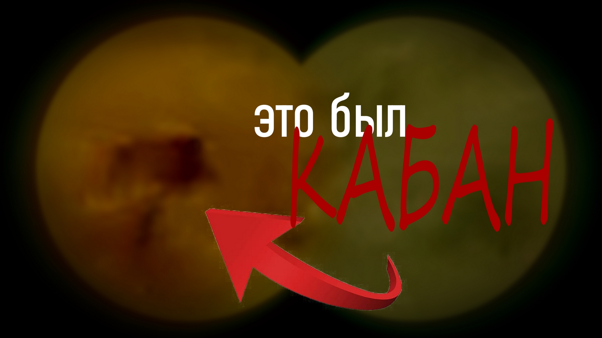 Миша пересёкся с кабаном!