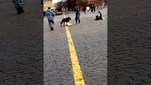 Красная площадь 18 марта 2021