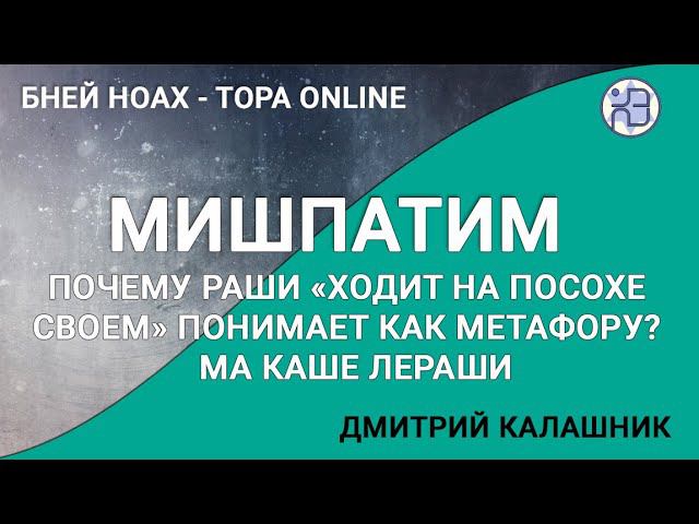 Почему Раши "ходит на посохе своем" понимает как метафору?  Ма каше леРаши ШМТ 21-19. Глава Мишпатим