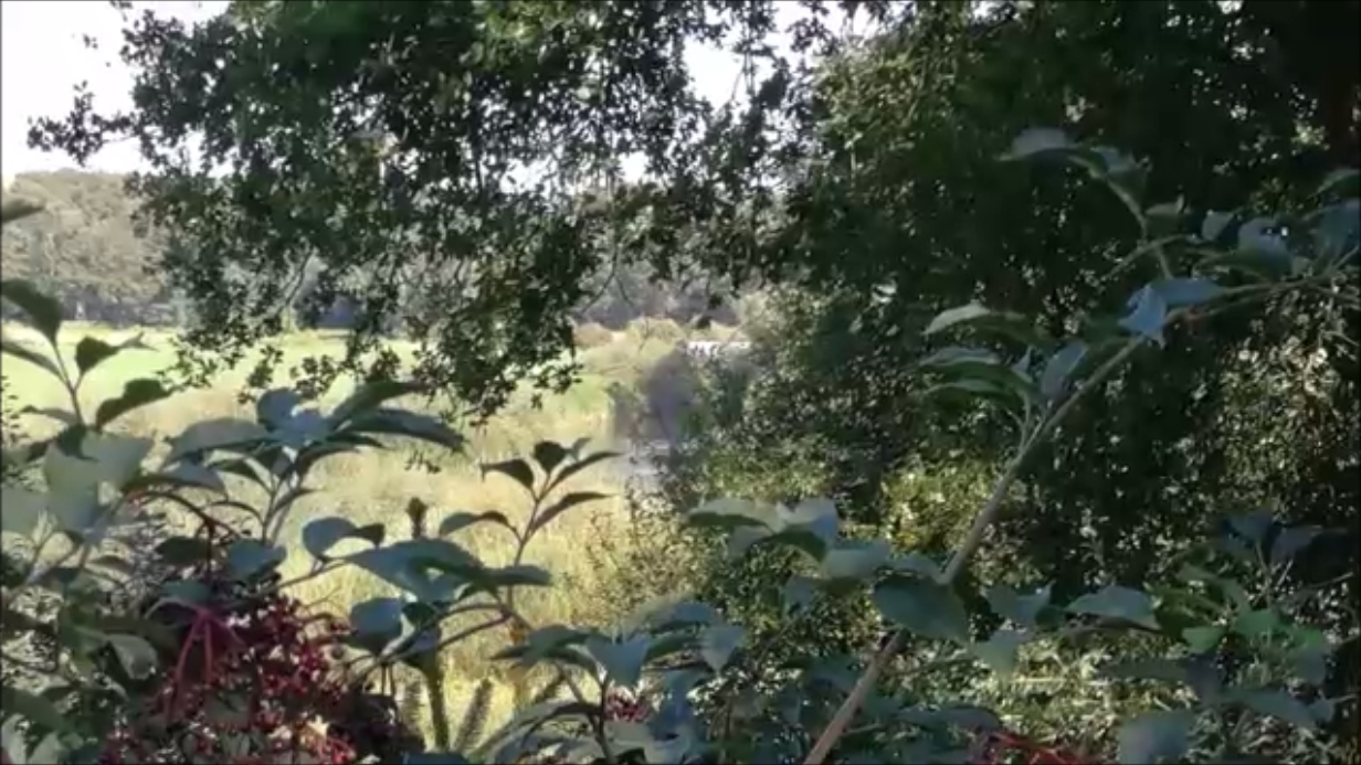 Начался сентябрь, прогулка на велосипеде…