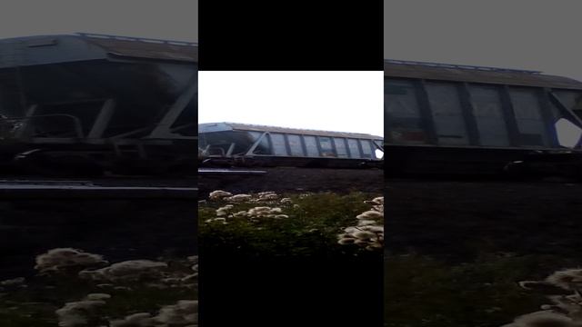 поезд товарный перегон Молот-Тенино 07.09.2019г