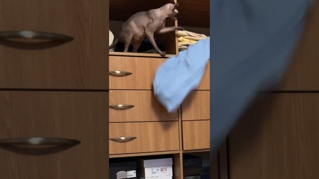 Карма - справедливое возмездие!