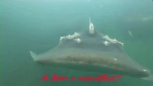 Рыбалка на средиземном море.
Бат-Ям.
Музыка и текст В. Токарев.