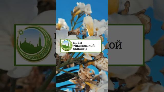 Ночь предопределения