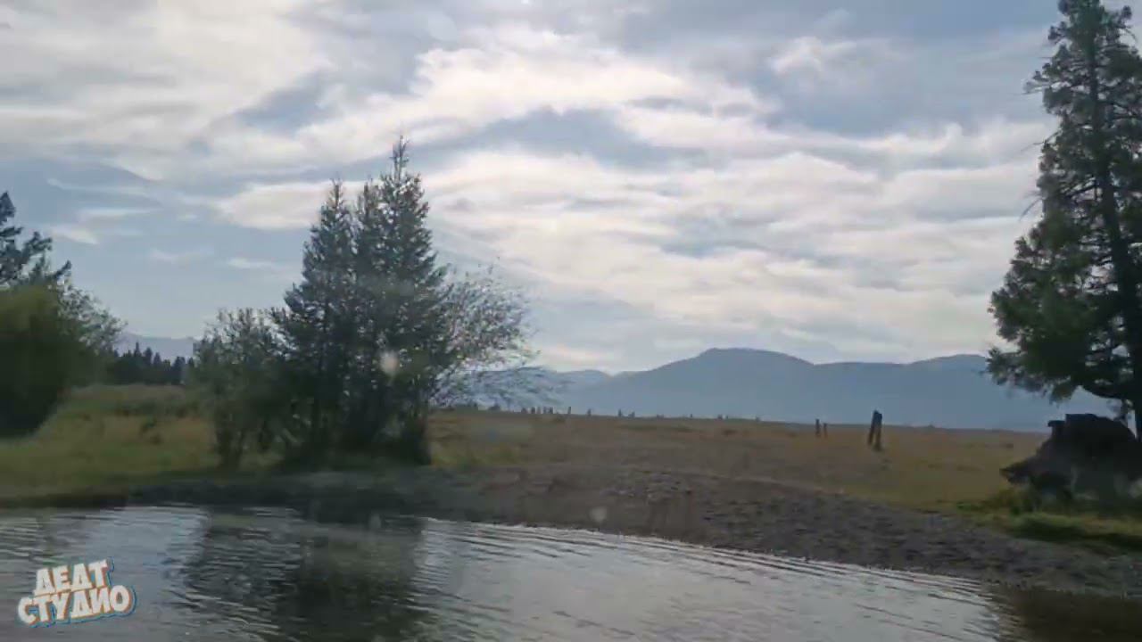 Горы Алтая  2023  Лужи и кони