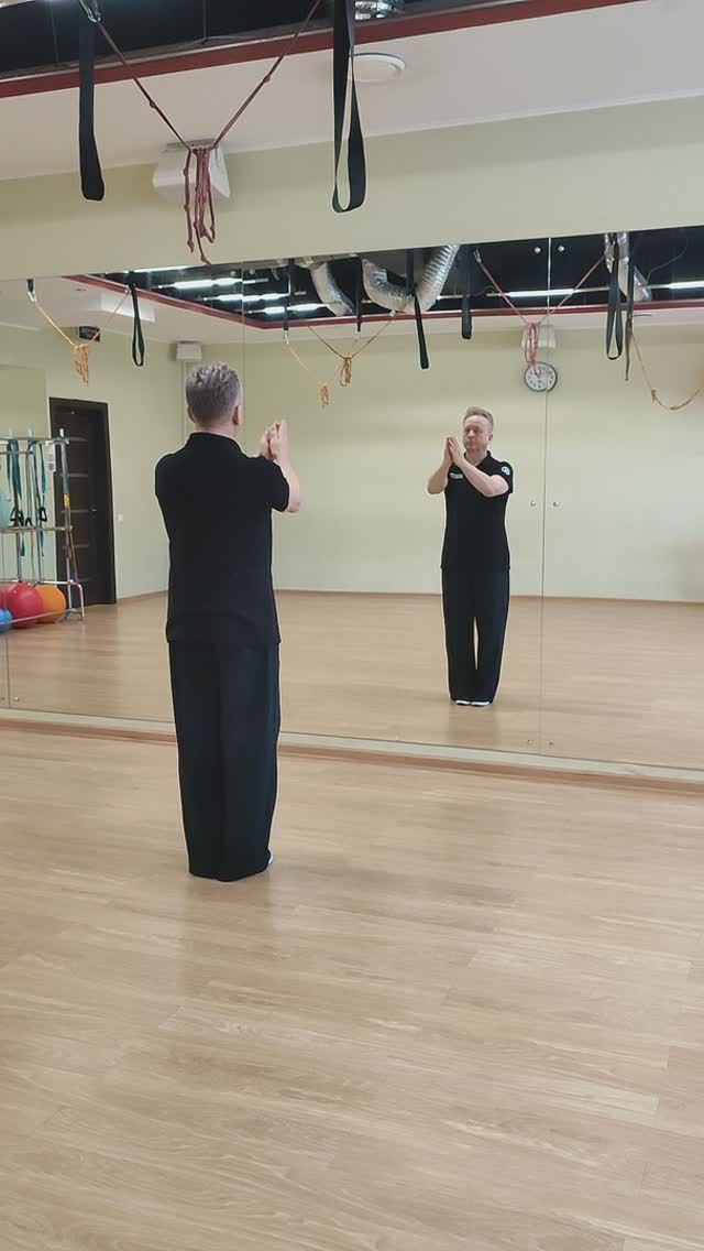 0.	Успокоить ум и отрегулировать дыхание
1.	Зеленый дракон поднимает голову