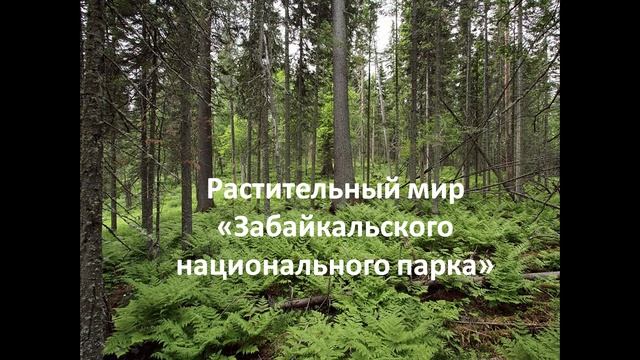 Встреча в Телемосте 26.04.22 13-09-19 — запись.webm