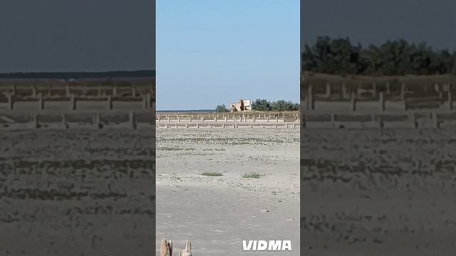 Розовое озеро  Сасык Сиваш Крым ❤️