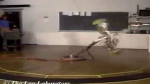LegLab