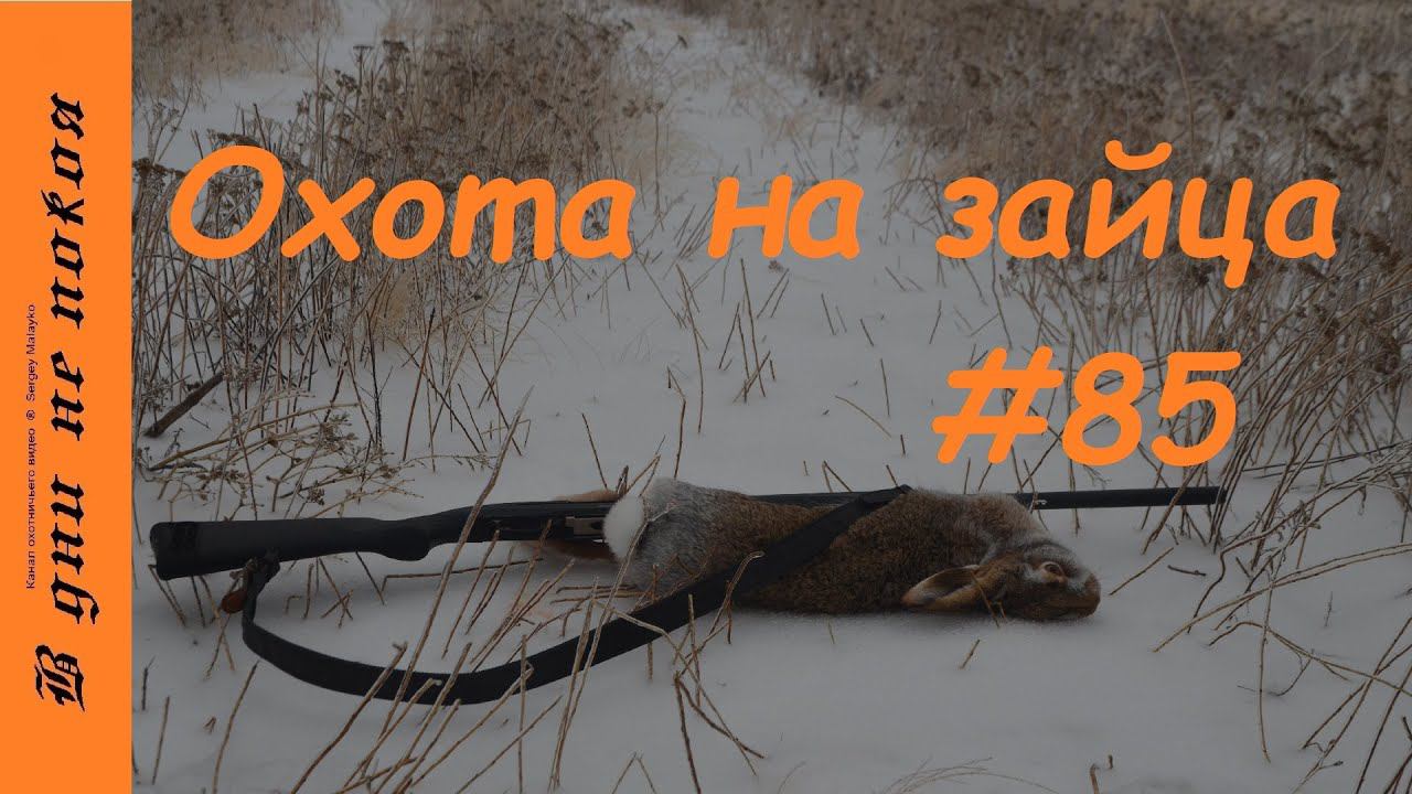 Охота на зайца. Выпуск № 85 18+