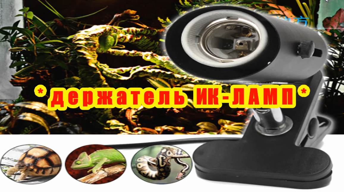 для ТЕРРАРИУМА