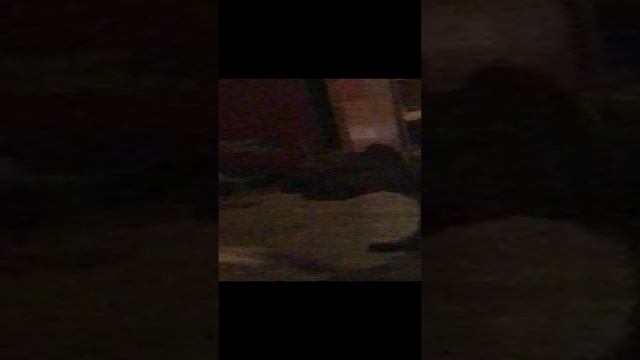 Карточка видео