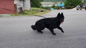 Мика движения