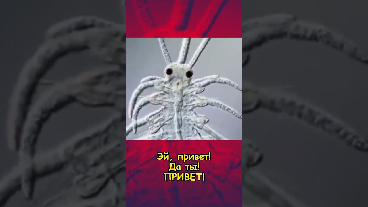 Эй привет!