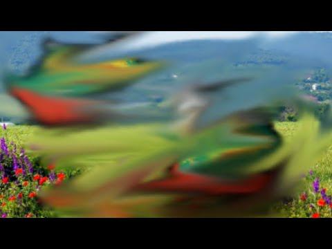 Страны Кайзеррейха № 2 Болгария.