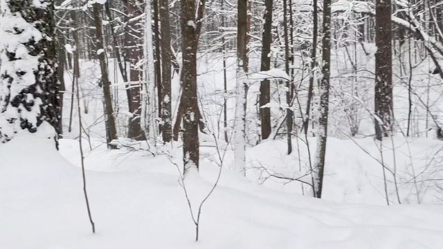 После снегопада.mp4