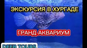 Экскурсия в Хургаде. Гранд Аквариум. Deebtours24.online