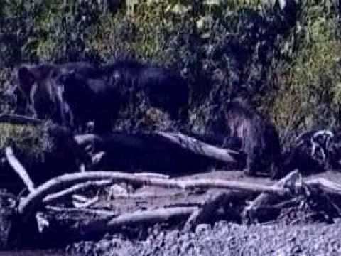 Камчатка