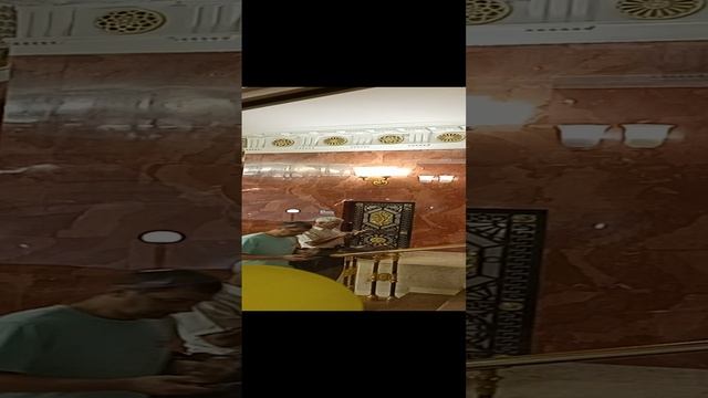 один день в СПб