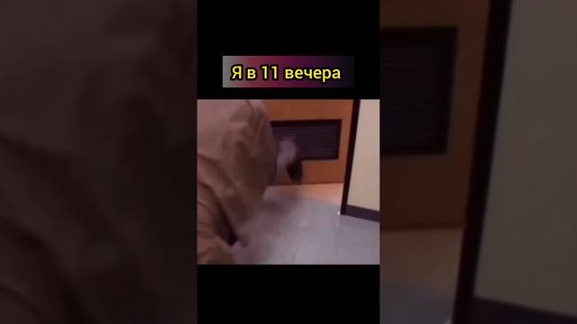 Сова или жаворонок?