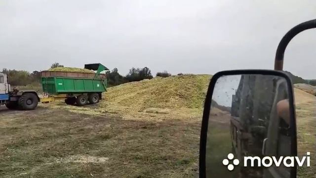 цборка кукурузы 2021