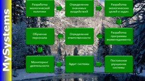Стандарты эк.менеджм