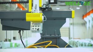 Электрический термопластавтомат WELLTEC 300HD
