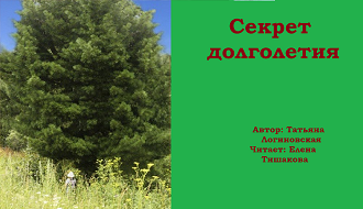 Секрет долголетия. Стихи о жизни.
