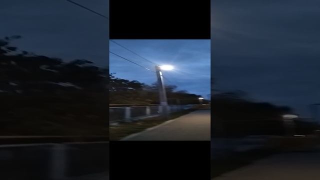 Ершов. Воронья стая. Часть 1
