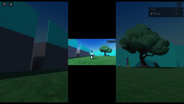 Моя игра в роблокс для подписчиков