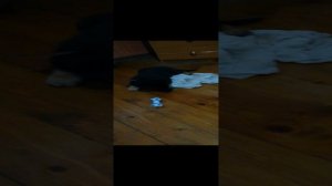 VID_20190205_171354
