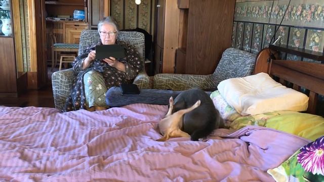 Борьба без правил-2.