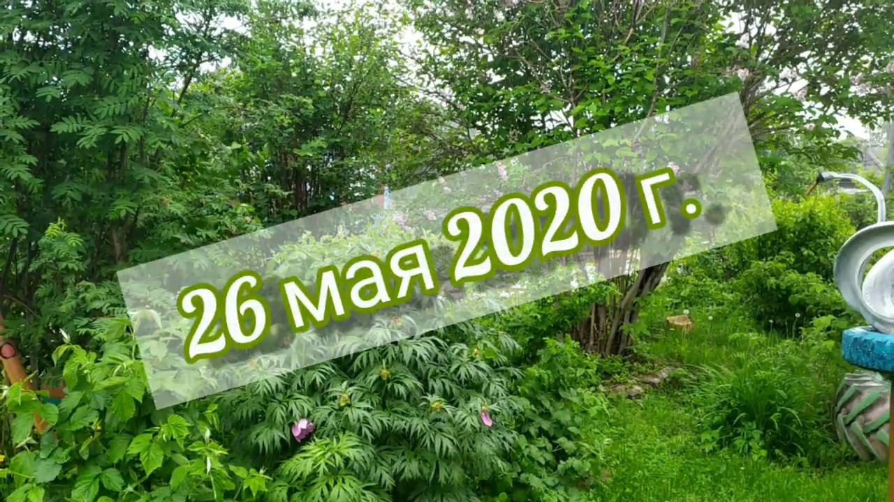 VLOG. Не успели..