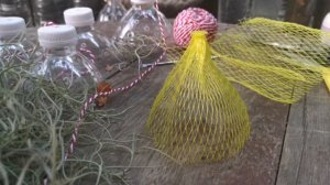 DIY Spanish moss with bottle&net, Tillandsia usneoides decoration idea,DIYเคราฤาษีกับขวดน้ำและถุงผั