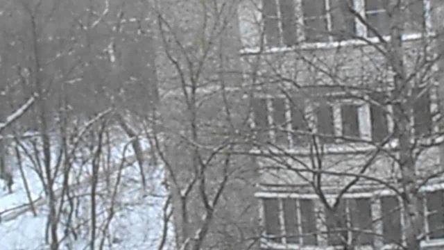 Белка по веткам скачет 546546 DSCN5077