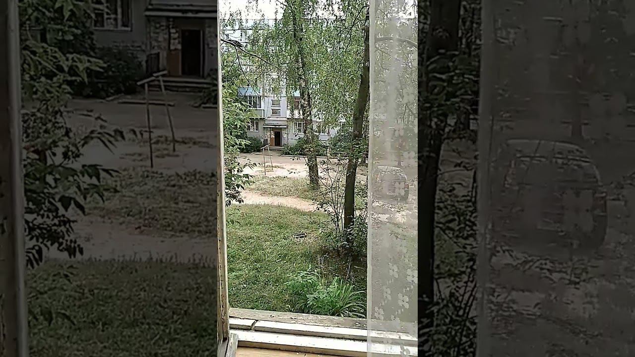 #sorts #хейтеры #ответхейтерам