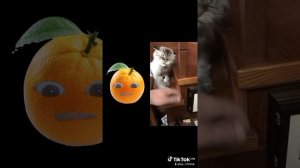 ee7b5f4a-4593-4169-a01b-7e4779657529-watermark.mp4