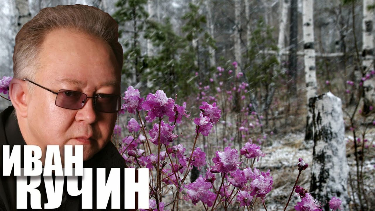 БАГУЛЬНИК / Разбор на гармони по цифрам