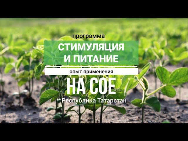Репортаж с полей. Эффективное применение программы Стимуляция и питание на сое
