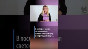 С пустыми карманами: почему Собчак решила вернуться в Россию из Израиля