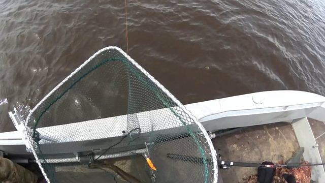 троллинг - 2. Северная Двина.